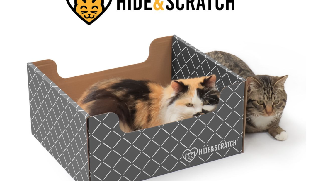 BOB & SHERI - Official site for the Bob & Sheri Show