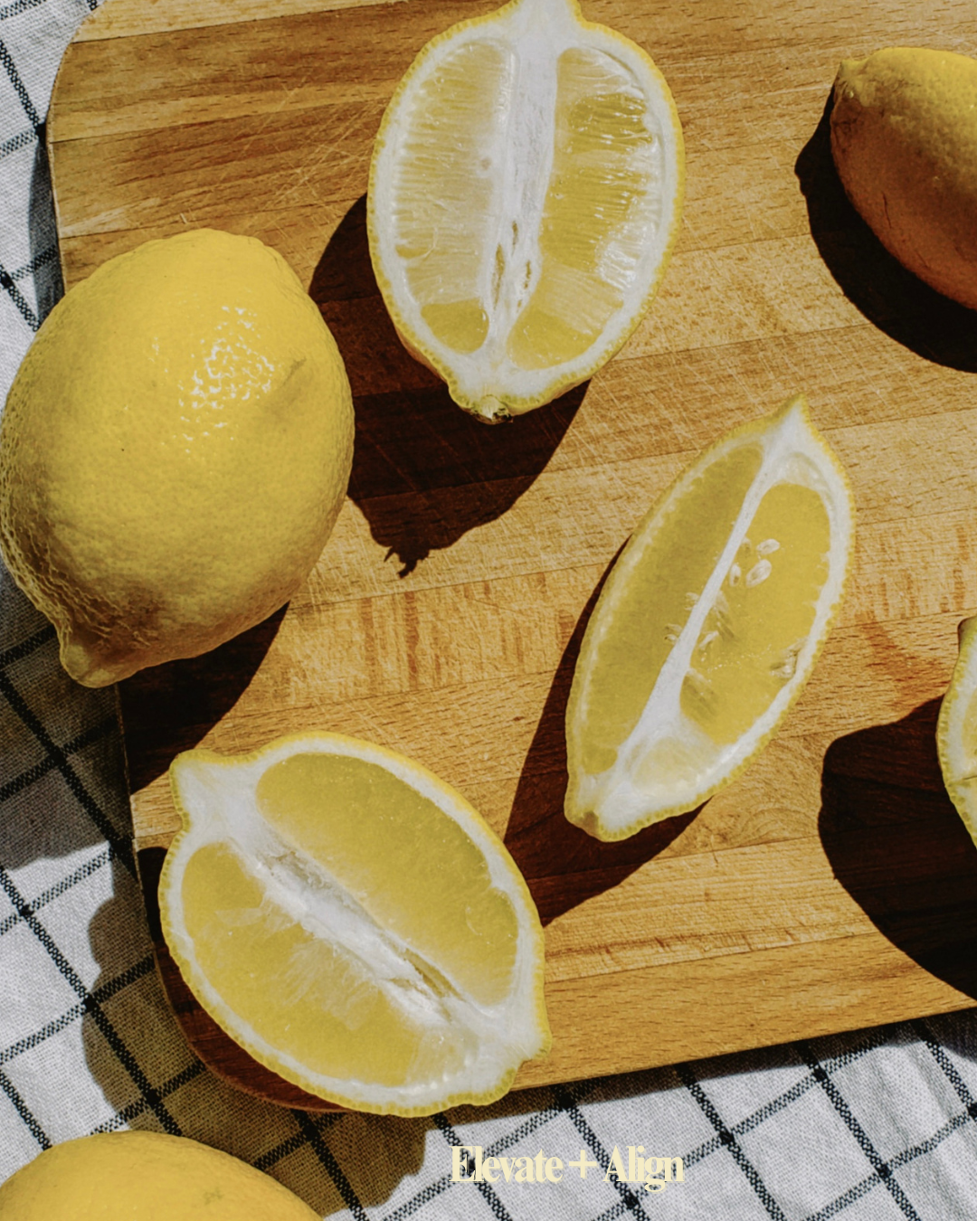 The Summer of Lemons and Lemon Trees - BOB & SHERI